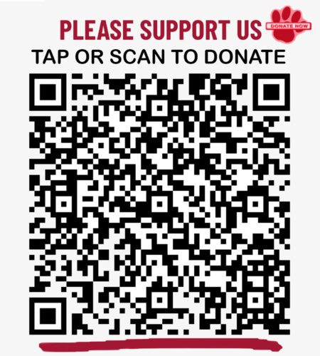 QR Code donate for email - Righteous Pups AustraliaRighteous Pups Australia